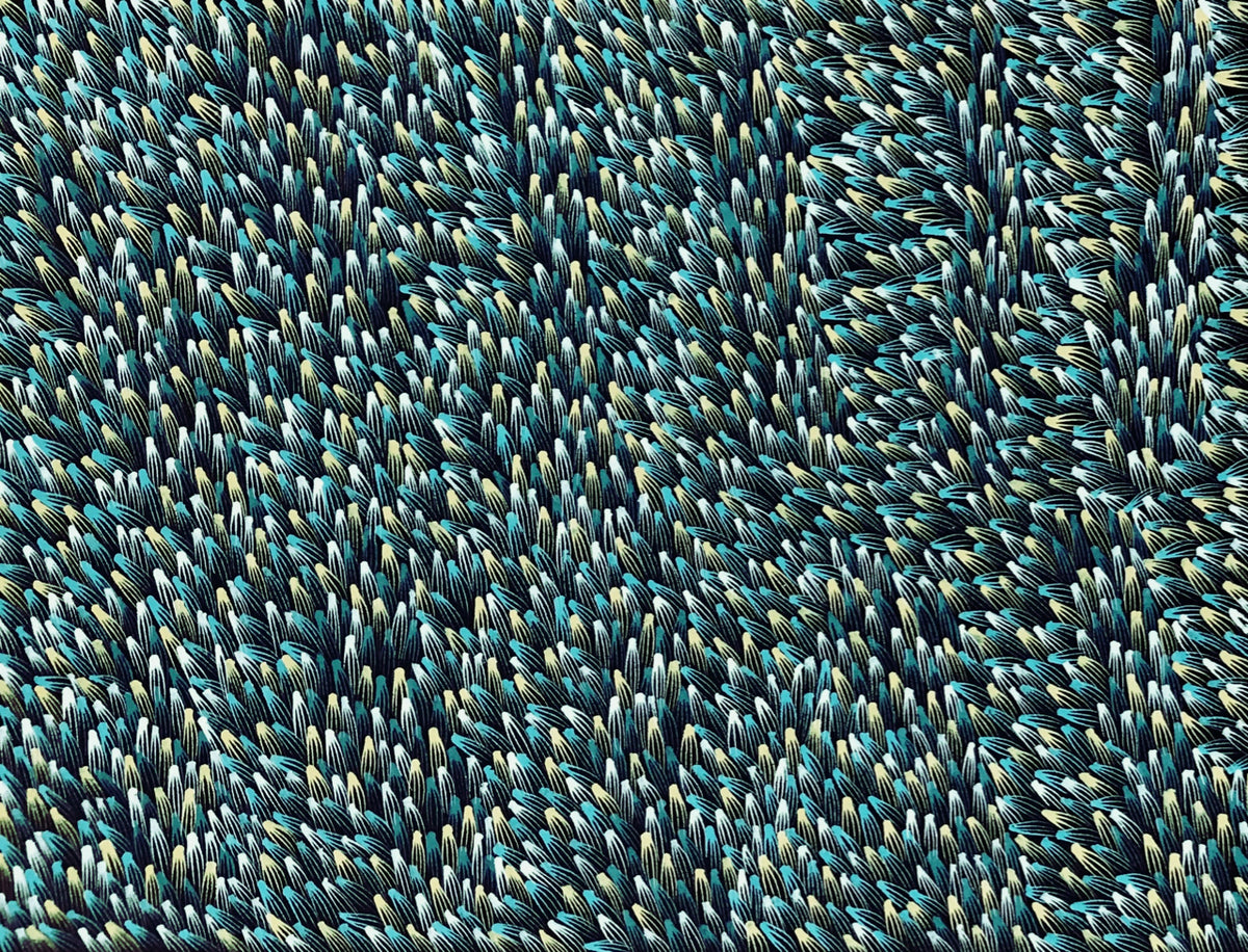 Abie Loye Kemarre – Ngarru Gallery